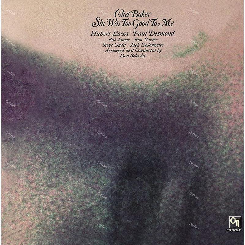 【全新黑膠】查特貝克 Chet Baker-最難消受美人恩 She Was Too Good To Me/180g - 大韜黑膠耳機