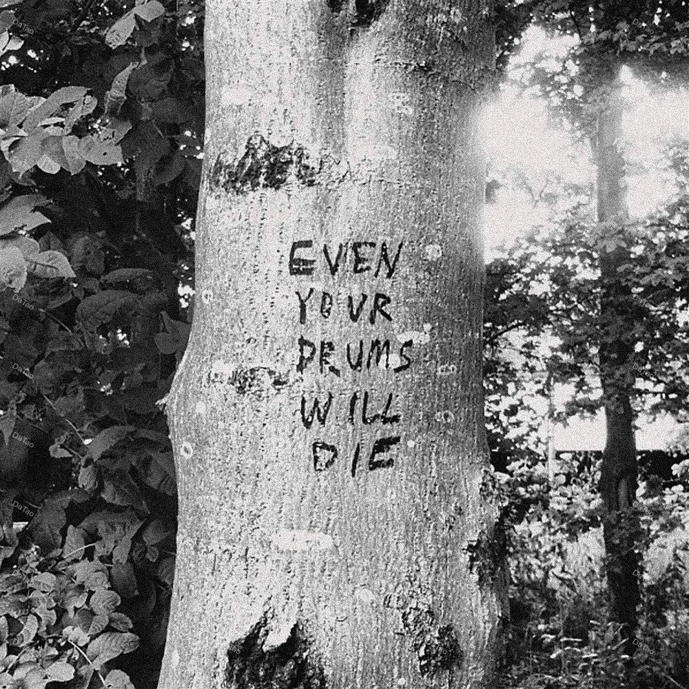 【全新黑膠】Richard Swift – Even Your Drums Will Die/Pendarvis現場 - 大韜黑膠耳機
